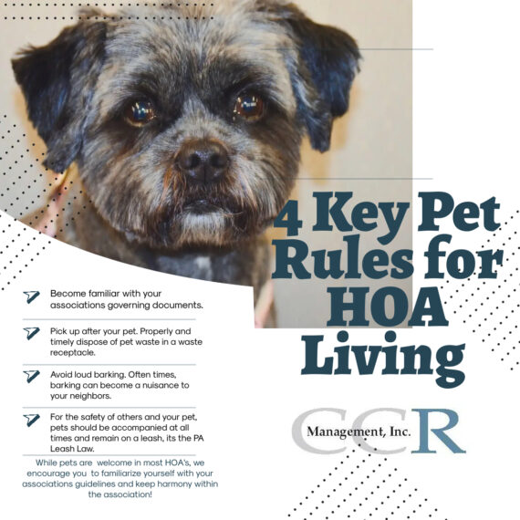 Key Pet Rules for HOA Living - Community Management